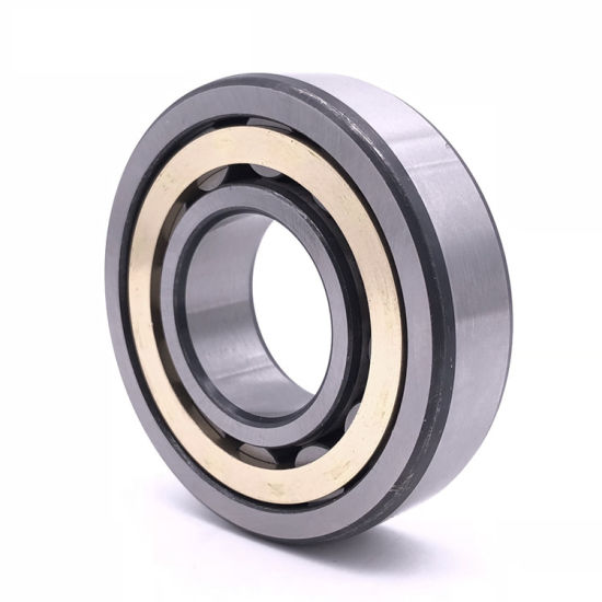 SKF Nj Series Cylindrical Roller Bearing Nj207 Nj307 Nj407 Nj2207 ...